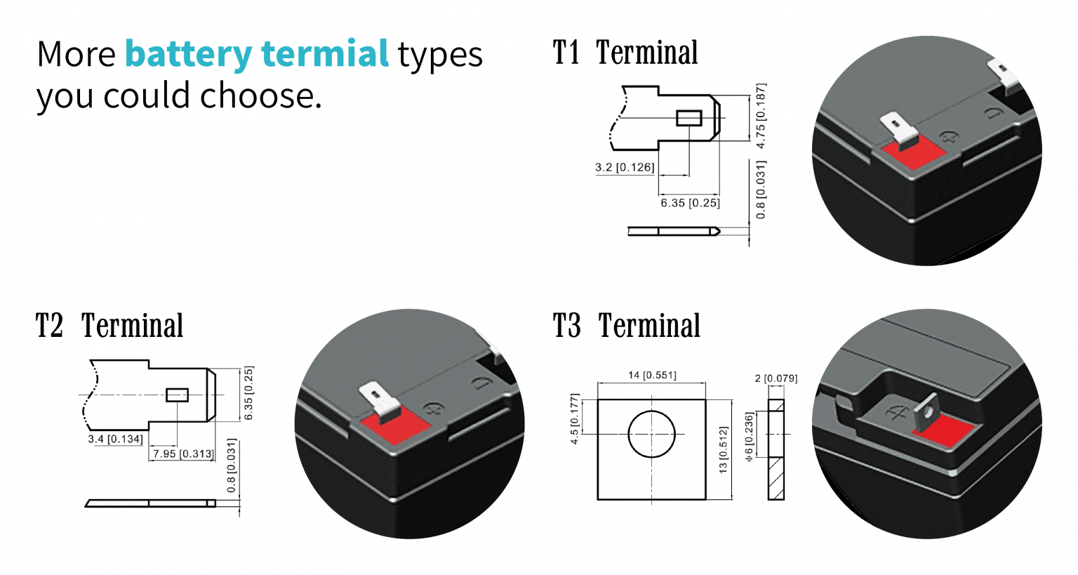 LiFePO4 Battery Pack 12.8V 100Ah - ThinkedPower